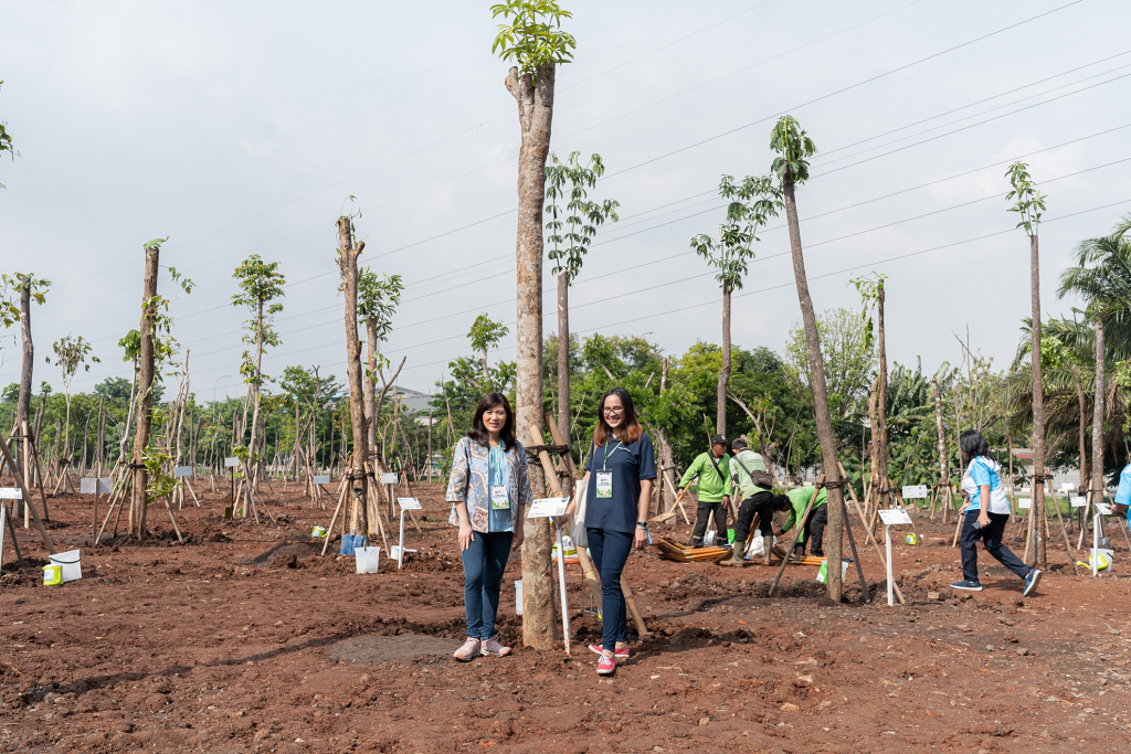 East Ventures donates 200 mahogany trees for the Jakarta greening ...